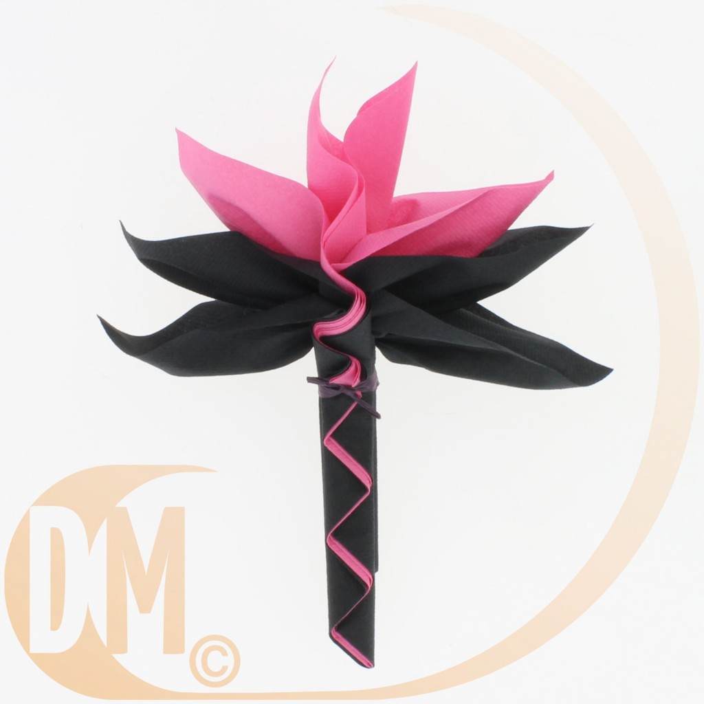 Pliage de serviette en papier facile a faire